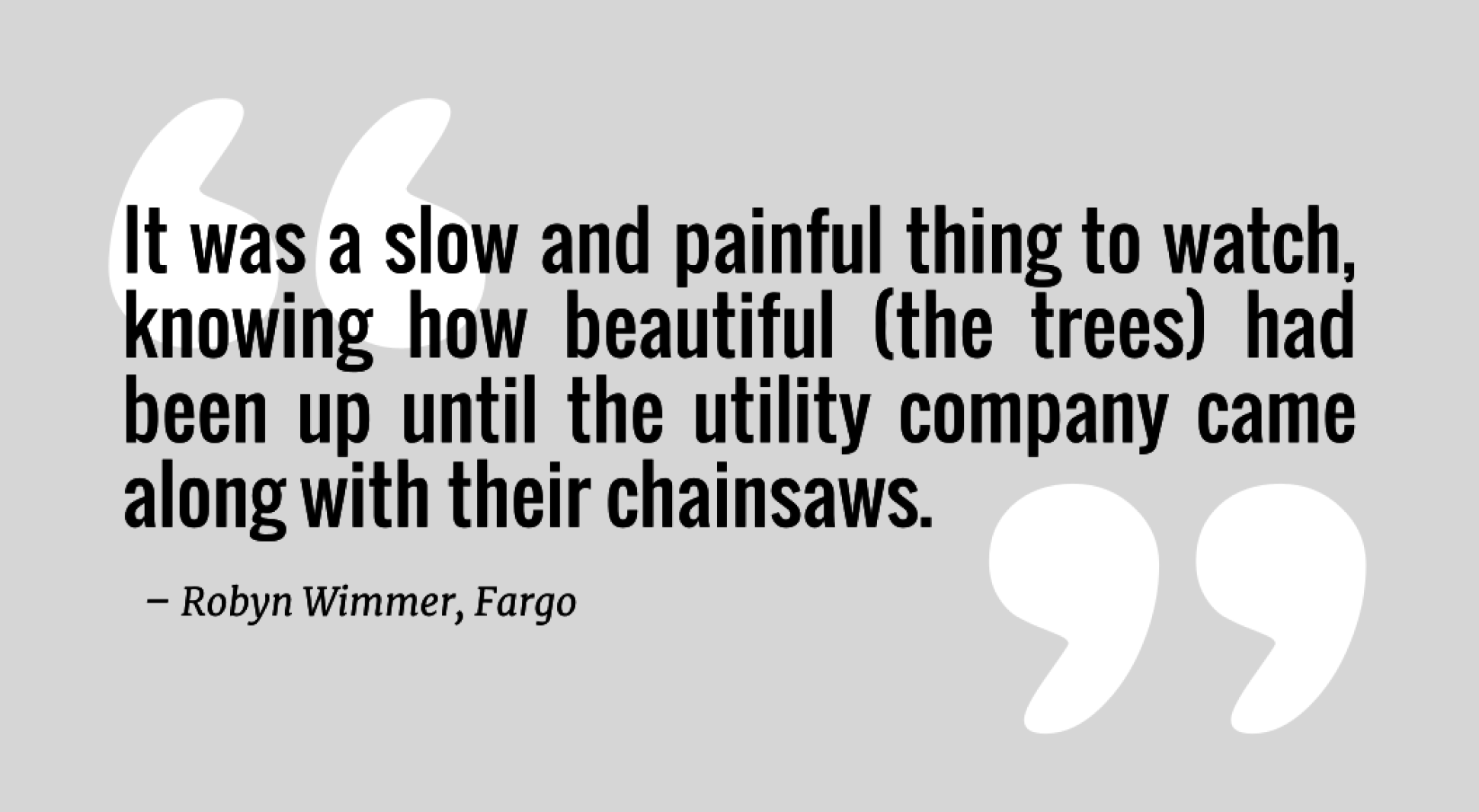 Letter Tree Trimmers Do More Damage Than Good InForum Fargo letter-tree-trimmers-do-more-damage-than-good-inforum-fargo